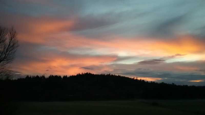 CITY OF MYRTLE POINT - News