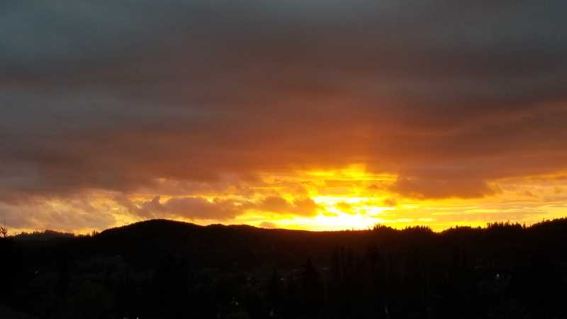 CITY OF MYRTLE POINT - Community Links