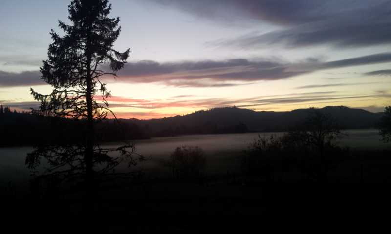 CITY OF MYRTLE POINT - Annual Events